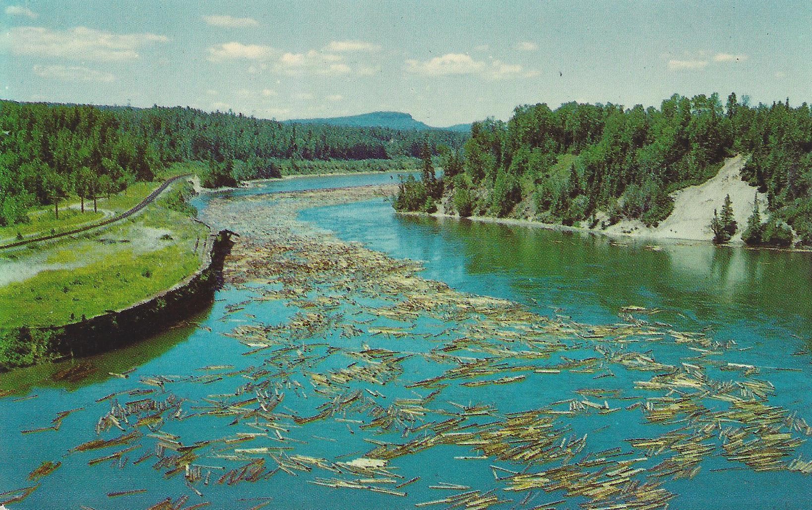 Nipigon | Poverty, Agony, Distress & Want!